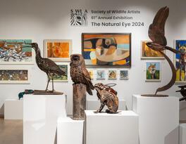 Society of Wildlife Artists | The Natural Eye 2024 | Mall Galleries