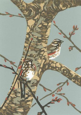 Max Angus SWLA | Mall Galleries