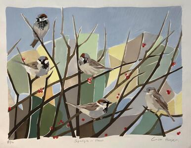 Lisa Hooper SWLA | Mall Galleries