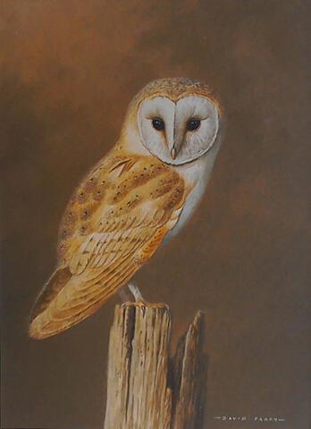 David Parry SWLA | Mall Galleries