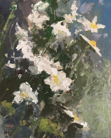 Tom Stevenson ROI | Mall Galleries