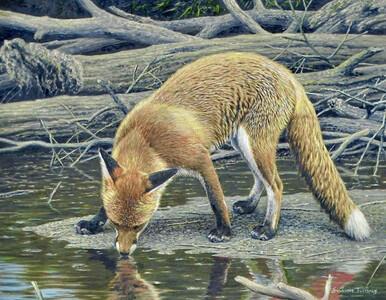 Simon Turvey SWLA | Mall Galleries