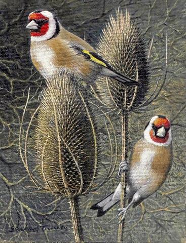 Simon Turvey SWLA | Mall Galleries