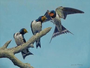 Simon Turvey SWLA | Mall Galleries