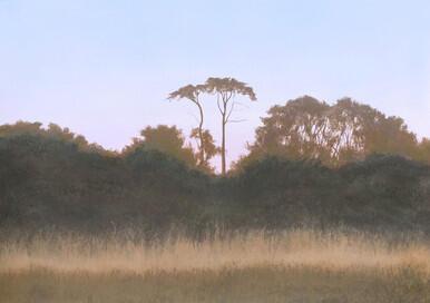 Terry Watts RBA | Mall Galleries