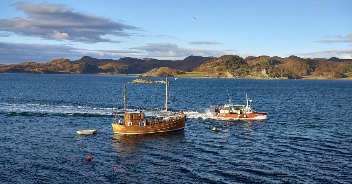 Graduate Artist Opportunity: The Crinan Residency 2025 | Mall Galleries