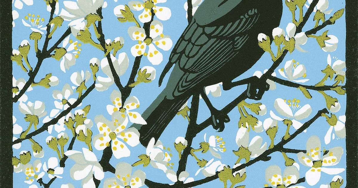 Tribute to Robert Gillmor MBE PPSWLA (1936 - 2022) | Mall Galleries