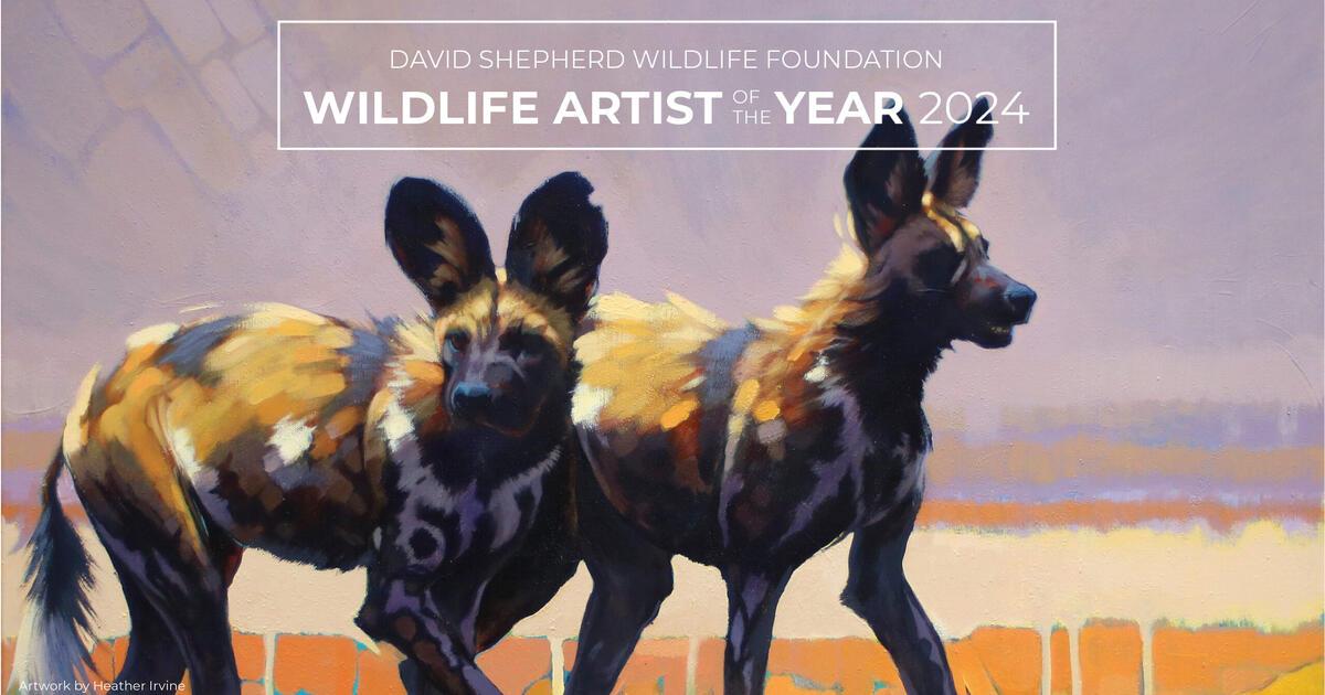 David Shepherd Wildlife Foundation | Wildlife Artist of the Year | Mall ...