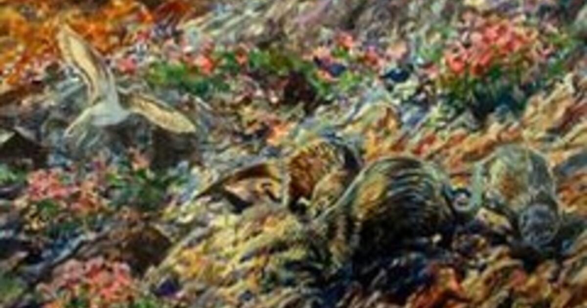 David Bennett SWLA | Mall Galleries
