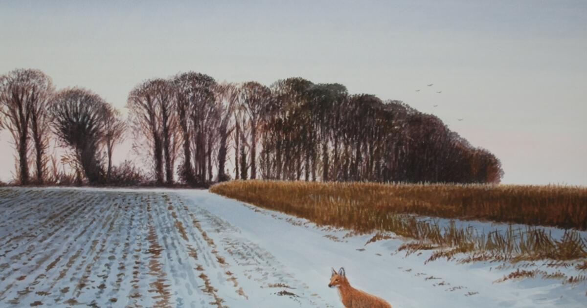 David Parry SWLA | Mall Galleries