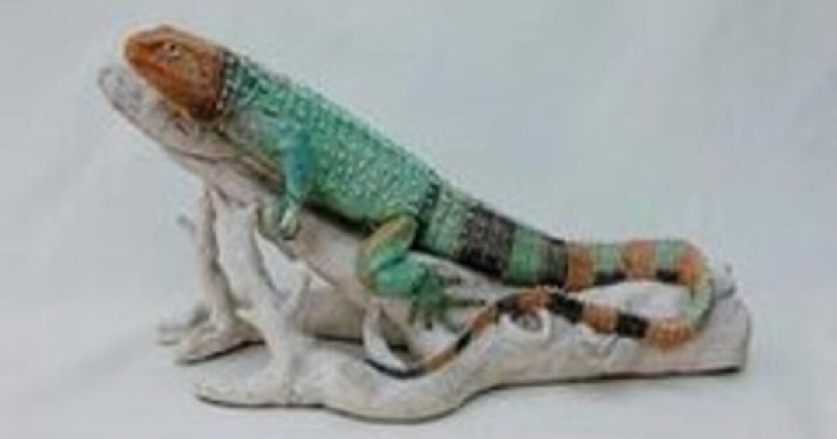 Jill Moger SWLA | Mall Galleries