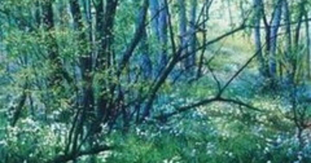 Daniel Cole SWLA | Mall Galleries