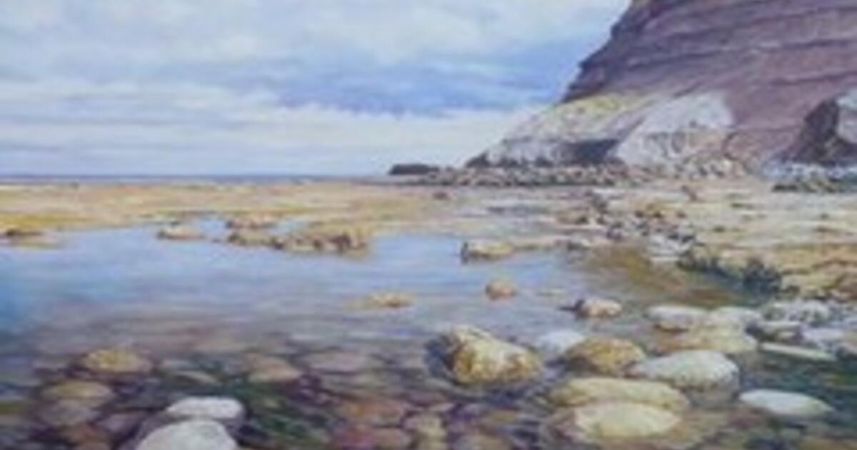 Michael Salt RSMA | Mall Galleries