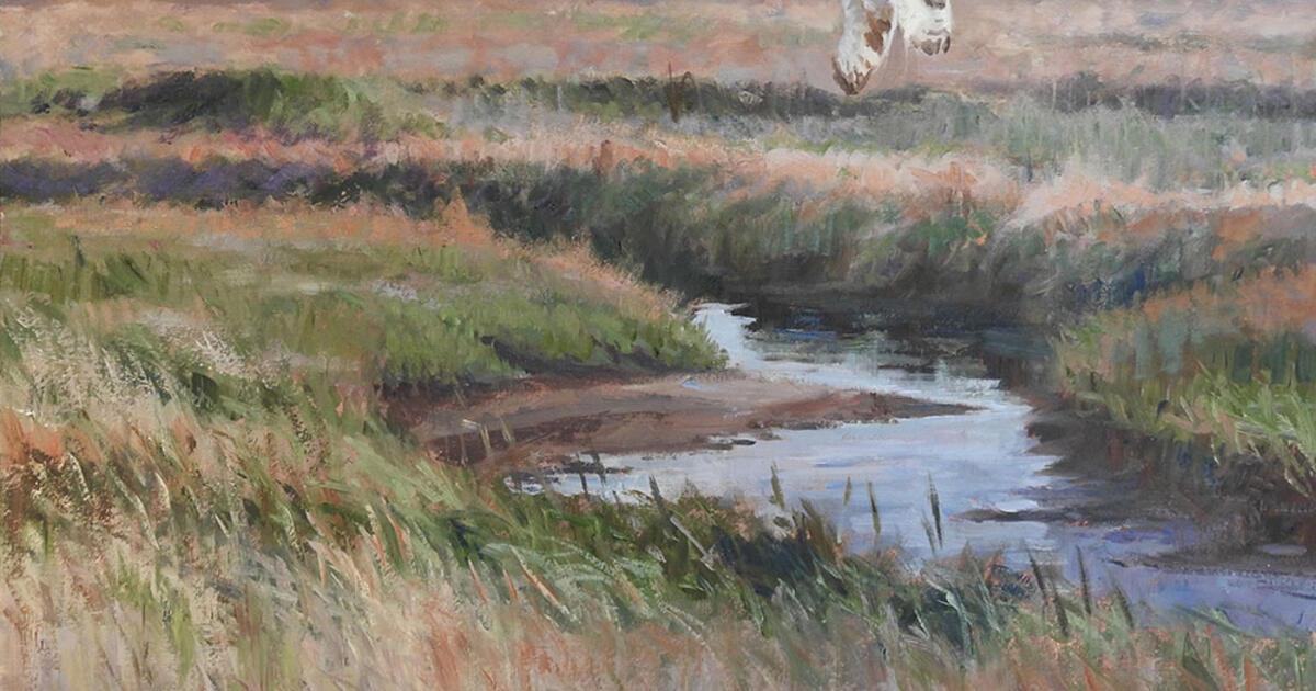 Tim Wootton SWLA | Mall Galleries