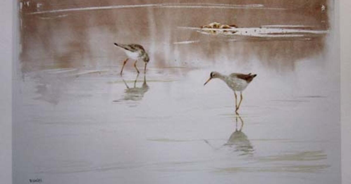 William Neill SWLA | Mall Galleries