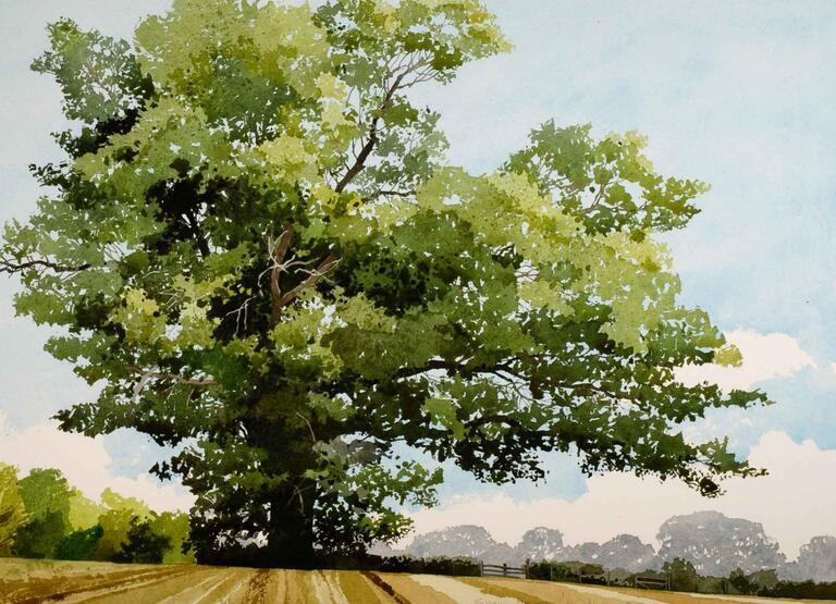 Join and support | Mall Galleries